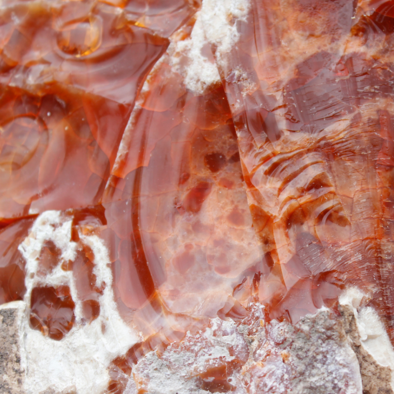 La famille des Quartz - Chrysalyde